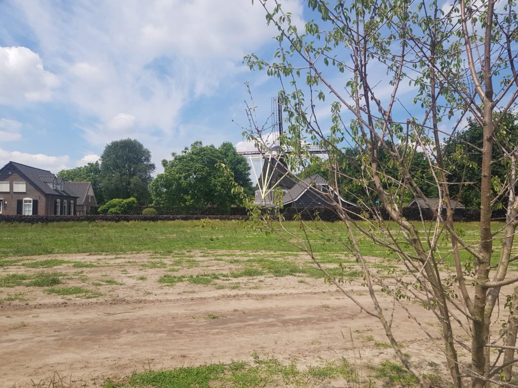 Studio Foris - Studio Foris